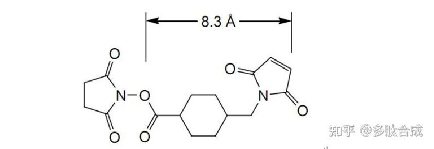 SMCC-结构反应解释-多肽蛋白偶联 - 知乎