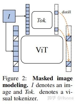 【论文精读】IBOT - 知乎