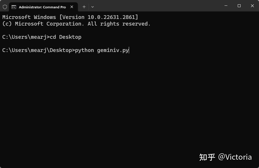 如何访问和使用 Google Gemini API 密钥（附示例） - 知乎