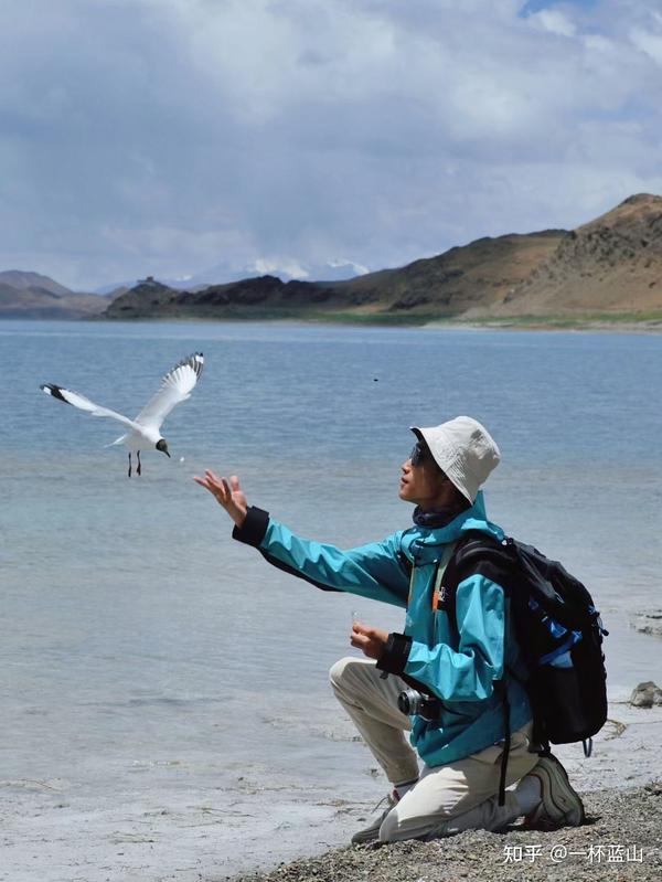 23Fall LSE管理学 & UCL管理科学 & UCL信息系统与商业，大获全胜的UCAS管理5/5：且将新火试新茶，诗酒趁年华 - 知乎