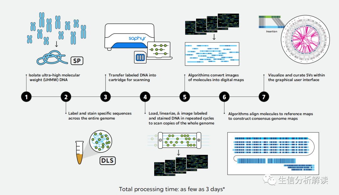 OGM-光学基因组图谱 - 知乎