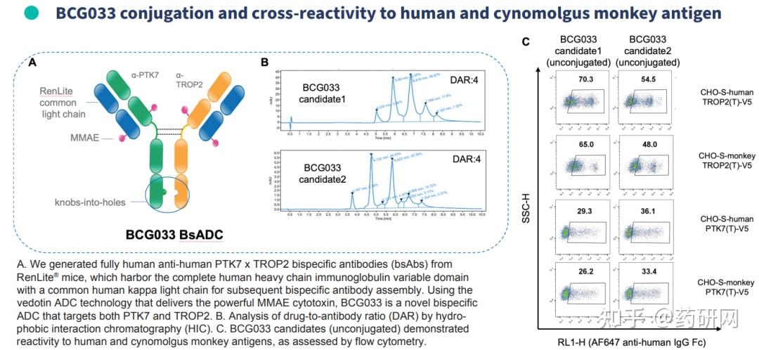 从两款PTK7 ADC看PTK7进展 - 知乎