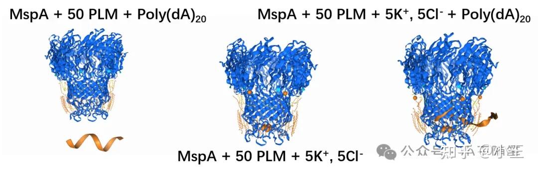 AlphaFold3的在线应用举例 - 知乎