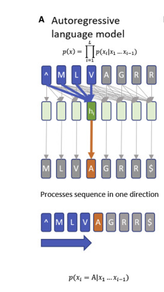 Bert GPT 方式的思考 - 知乎