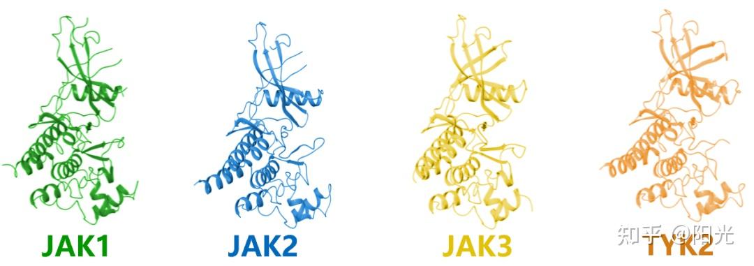 JAK抑制剂开启特应性皮炎治疗新时代，各新药全方位对比 - 知乎