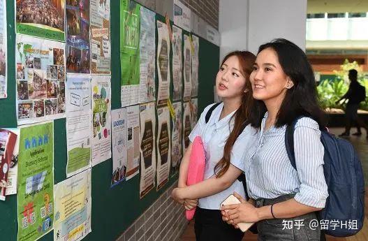 港大商学院录取数据发布！只招985/211？内附23fall港大商科offer - 知乎