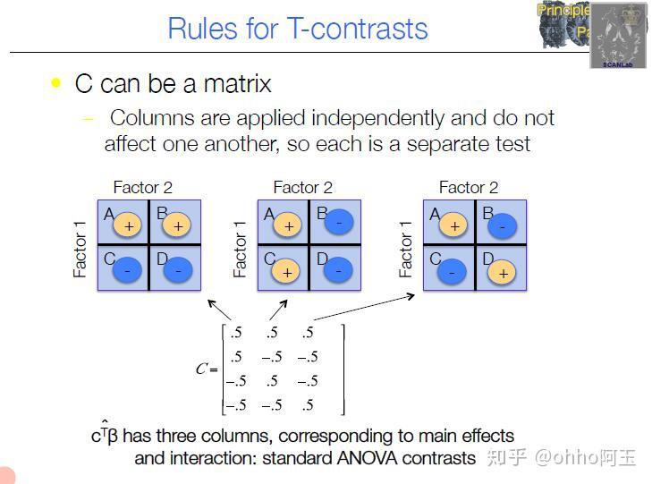 【fMRI】Module17 Details Of Building GLM Models - 知乎