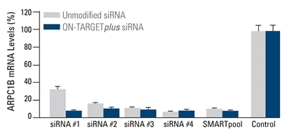 siRNA文库——高效基因筛选工具 - 知乎