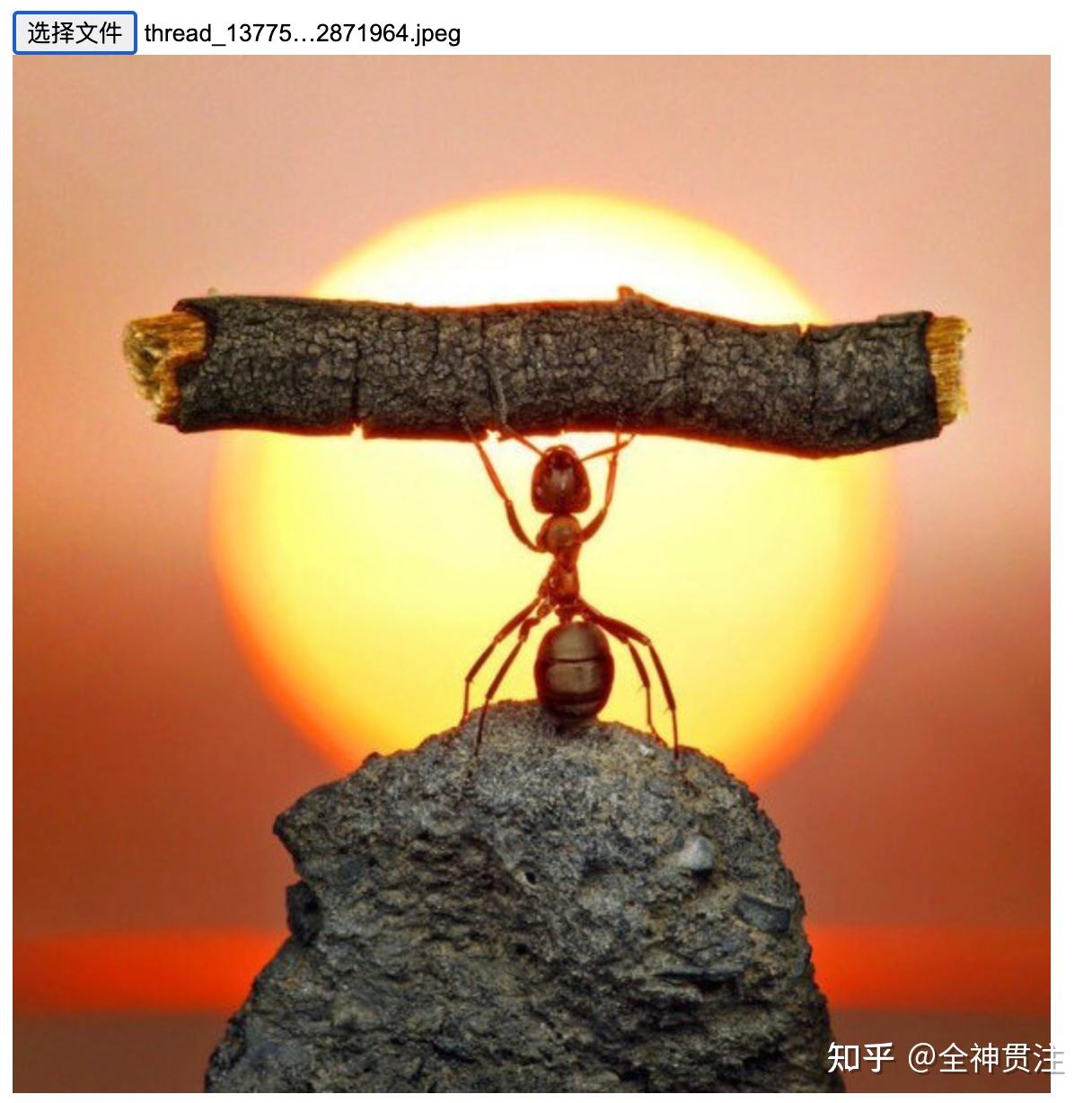 使用readAsDataURL实现图片上传前的预览 - 知乎