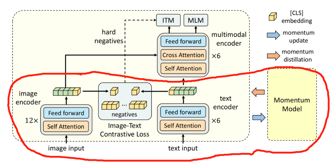 源码解析ALBEF：带动量蒸馏的视觉和语言表示学习 - 知乎