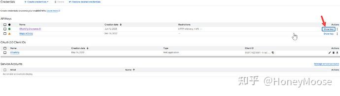 如何在 Discourse AI 中设置 Gemini API - 知乎