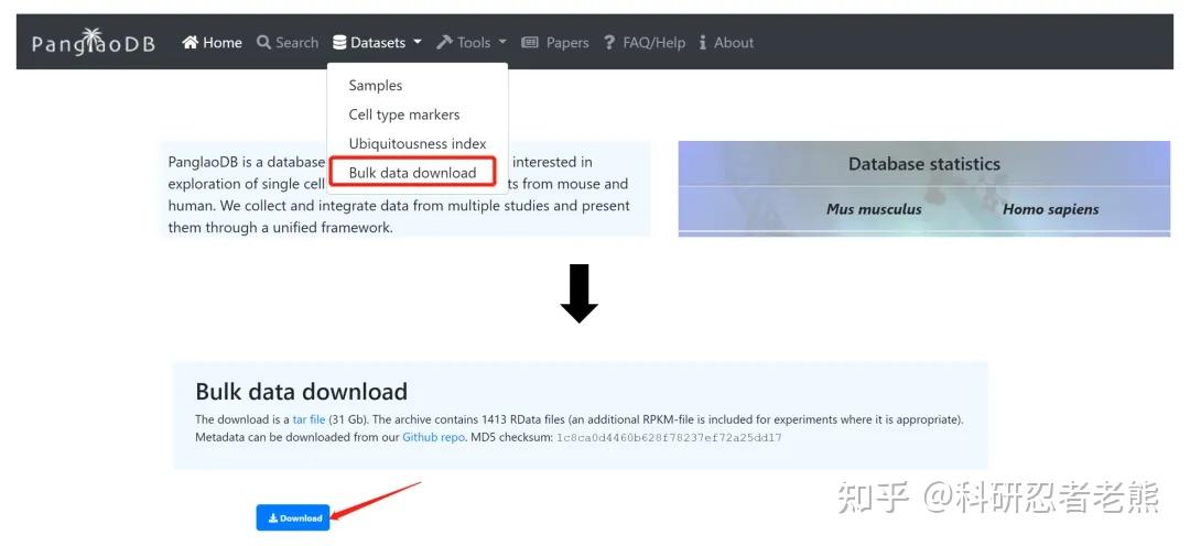 单细胞数据挖掘之你绝对值得拥有的PanglaoDB数据库 - 知乎