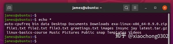 通过 16 个案例完全掌握 Linux Echo 命令 - 知乎