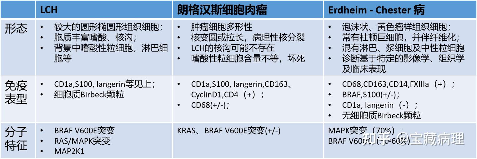 朗格汉斯细胞组织细胞增生症（LCH）病理诊断要点 - 知乎