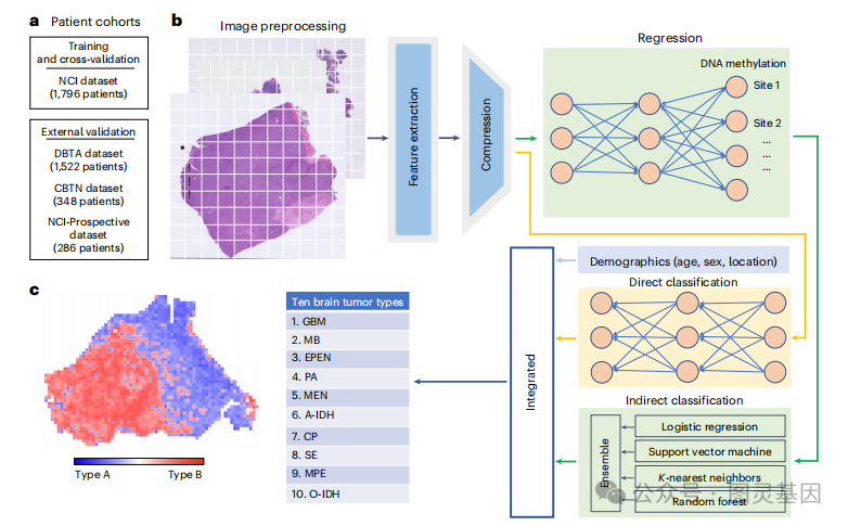 Nat Med ｜ AI整合病理与甲基化数据改进脑肿瘤诊断 - 知乎