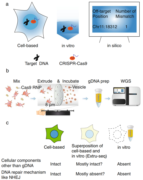 Genome Biology｜可预测全基因组Cas9脱靶位点的新方法Extru-seq，兼具基于细胞和体外方法的优势 - 知乎