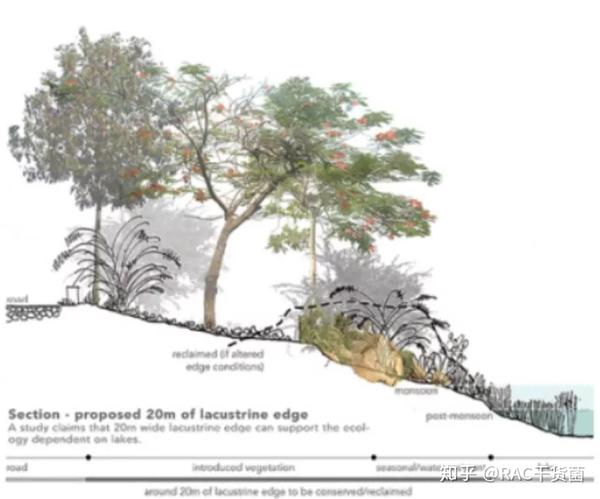RAC重磅首发！2020ASLA学生奖公布，北大天大华南农安徽大等八校获奖，中国学生强势霸屏！！ - 知乎