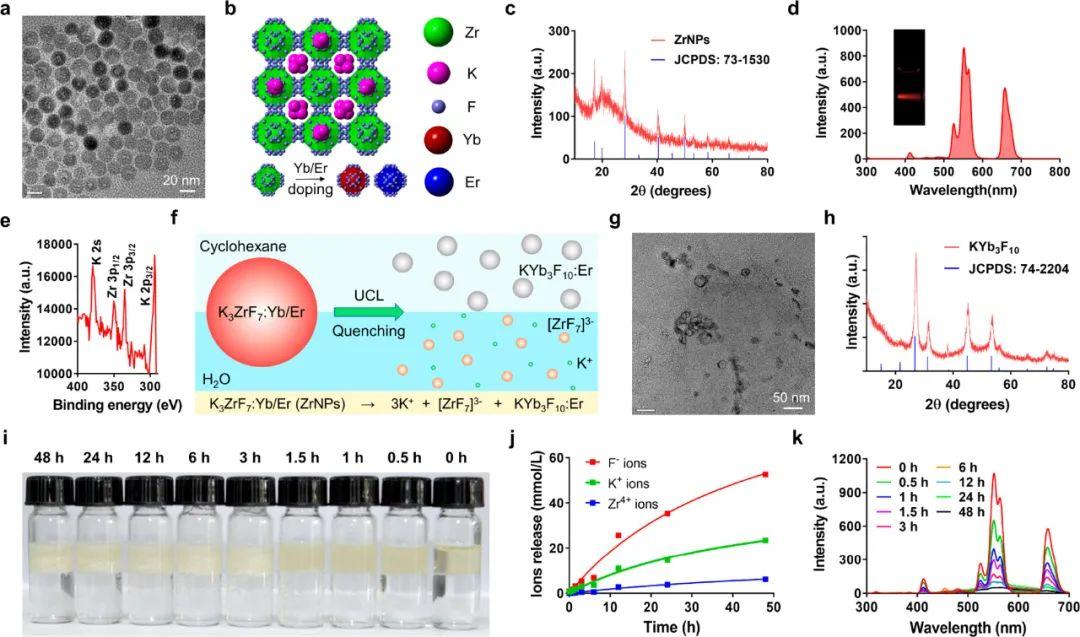 长春应化所林君/马平安Nano. Lett：可生物降解的上转换纳米颗粒，用于诱导焦亡以实现肿瘤免疫治疗 - 知乎