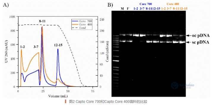 纯化前沿 | 复旦大学—新型两步层析工艺纯化质粒DNA - 知乎