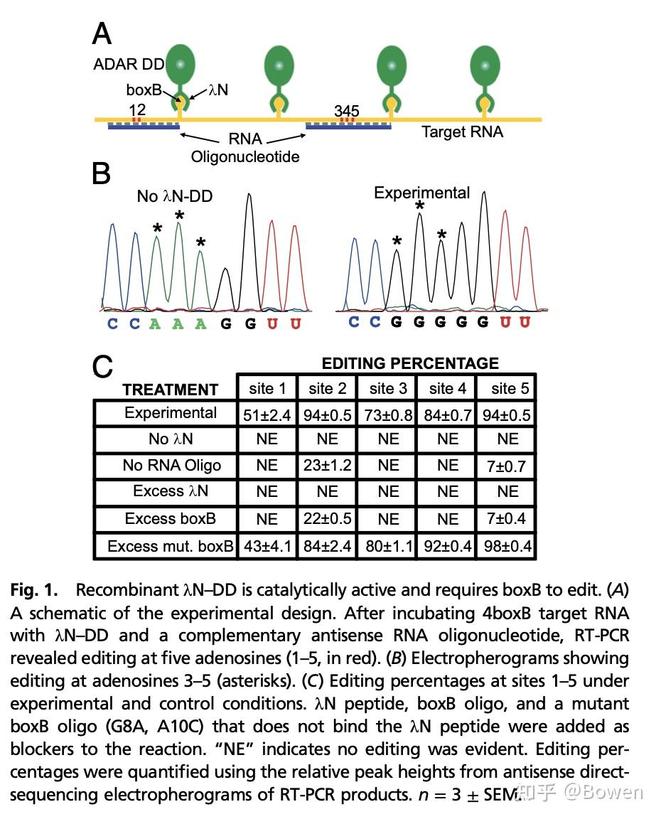 RNA Editing发展历程 - 知乎