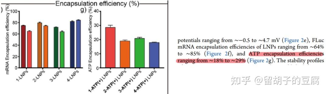 共递送ATP提升mRNA-LNP细胞内蛋白表达水平数十倍 - 知乎