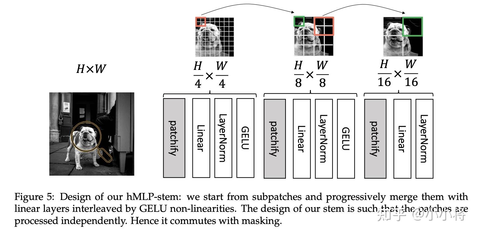 关于ViT，你必须要知道的三点改进 - 知乎