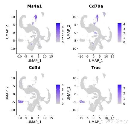 Seurat与singleR - 知乎