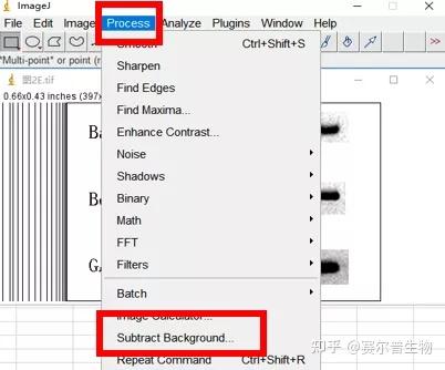ImageJ定量分析 WB 灰度值（详解版） - 知乎