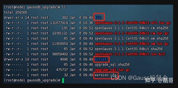 openGauss单机版升级示例（2.0.1—＞3.1.1） - 知乎