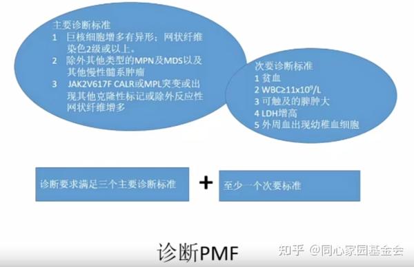 专家讲座｜张培红教授：骨髓增殖性肿瘤（MPN）的病理展望 - 知乎
