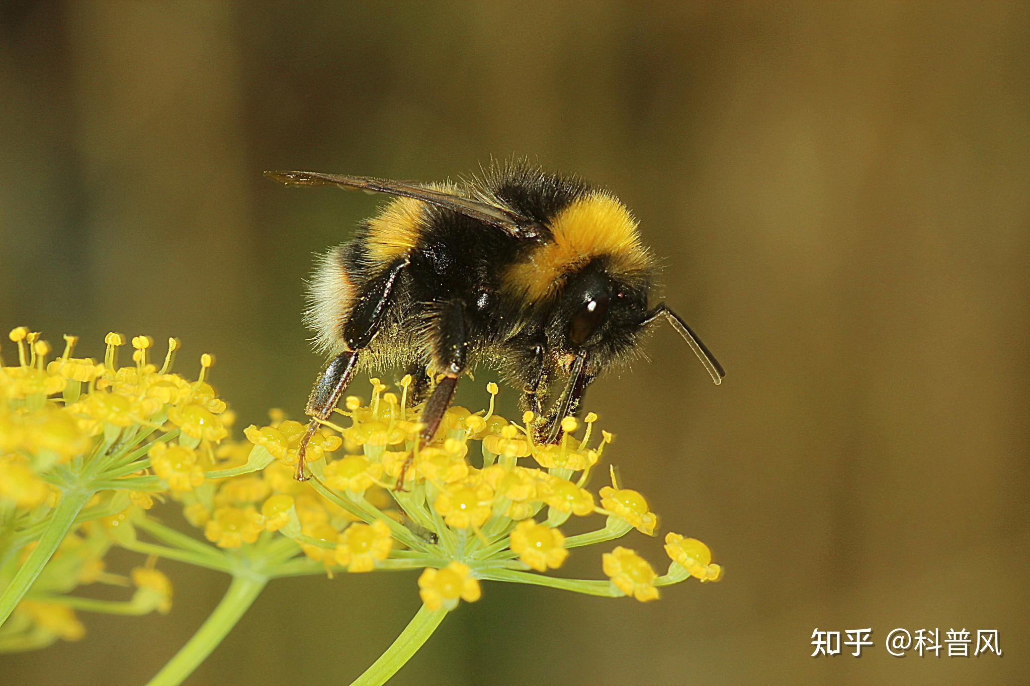 睡使惩崩——伦清 - 知乎