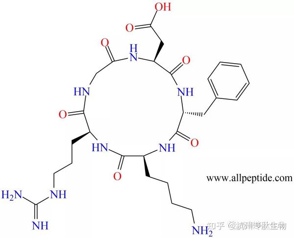 RGD环肽c(RGDfK)|161552-03-0 - 知乎