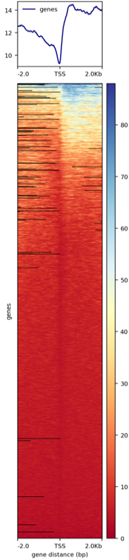 两分钟！教你画出TSS富集热图！ - 知乎