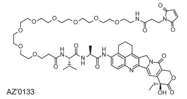 AACR 2023：掌握双抗黄金矿脉，挖呀挖呀挖 - 知乎
