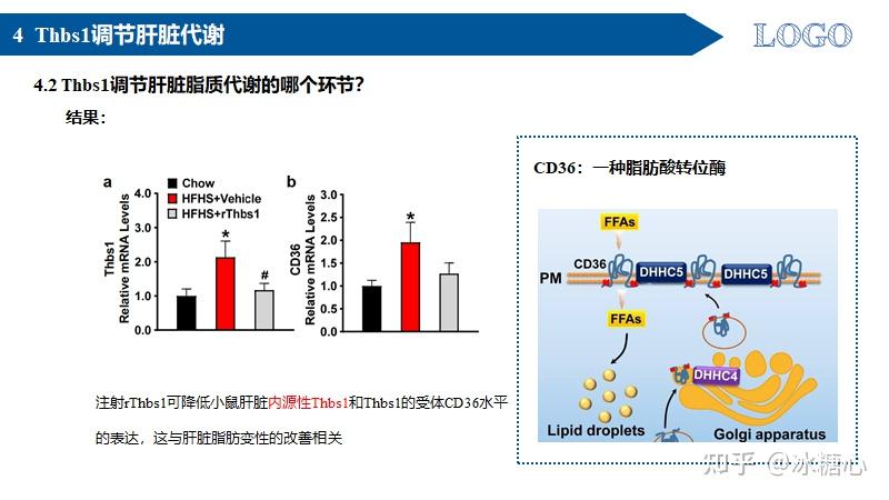 组会文献汇报：Thbs1改善饮食诱导IR小鼠的肝脏脂肪变性并与人类肝脏脂肪含量相关 - 知乎