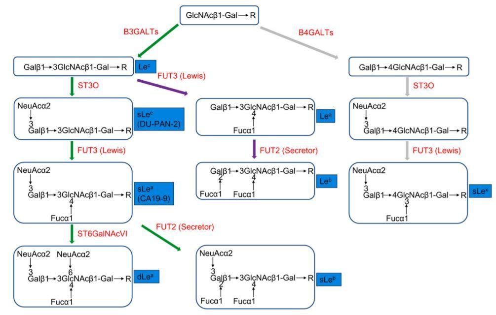 CA199升高数倍=癌症？千万别忽视这5种可能！ - 知乎