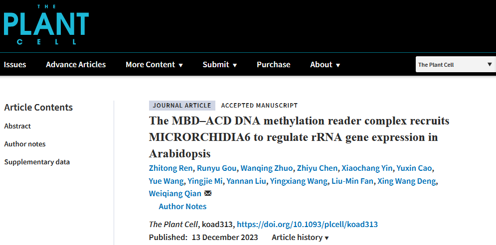 Plant Cell | 北京大学钱伟强实验室与合作者揭示MBD-ACD蛋白复合体调控拟南芥45S rDNA表达的分子机制 - 知乎