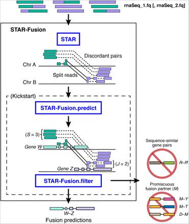 融合基因分析工具：STAR-Fusion - 知乎