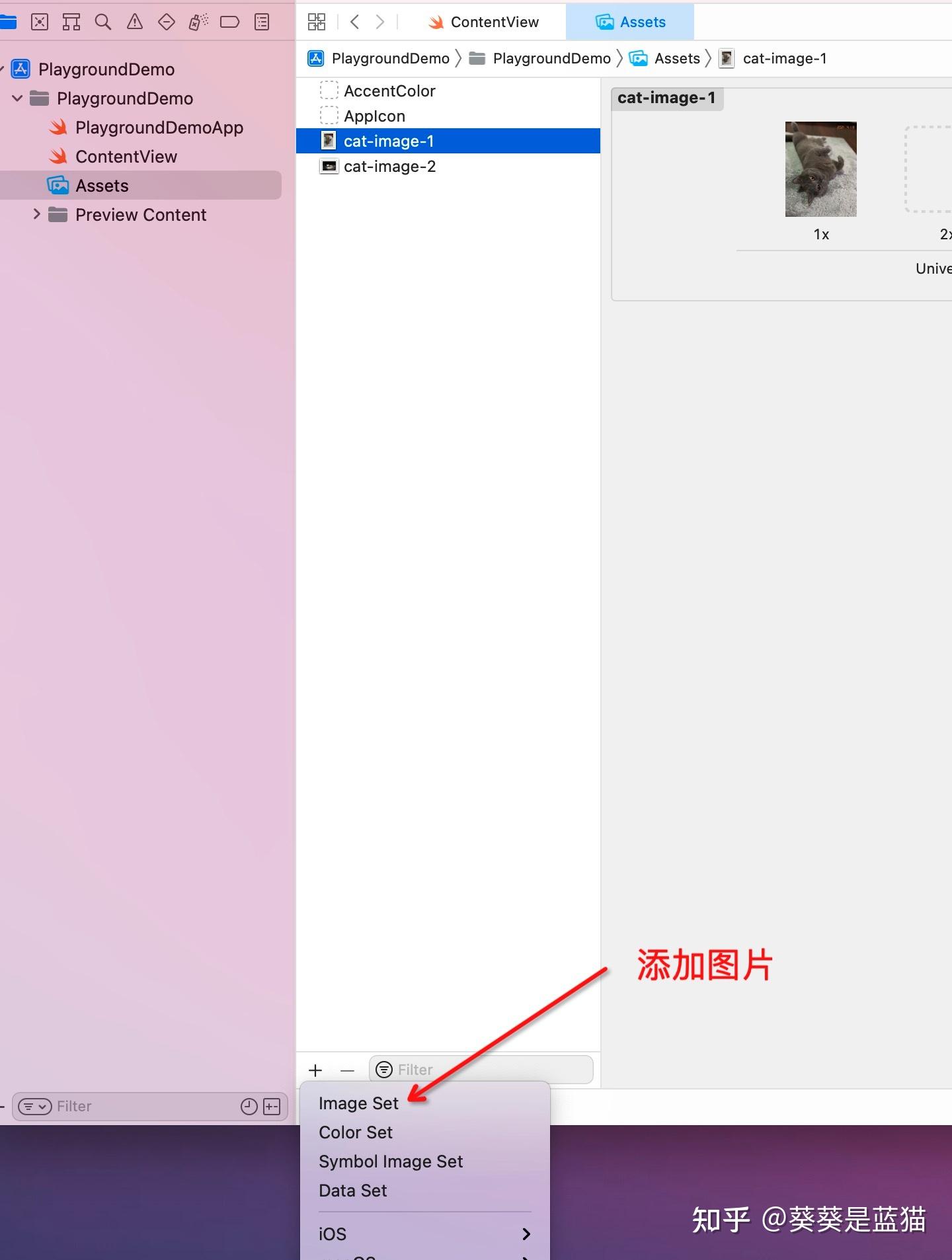 SwiftUI swiftui