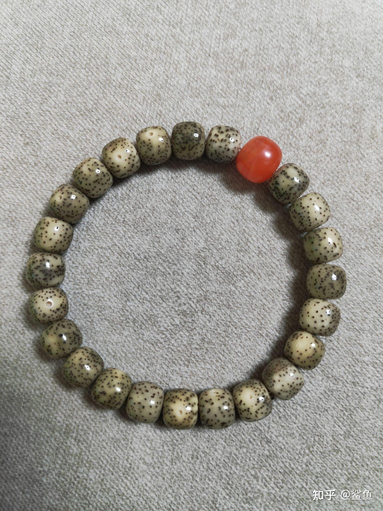 星月菩提，像星空一样美丽。 - 知乎