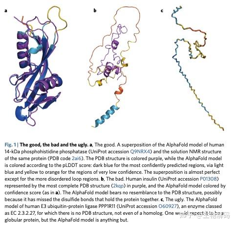 每日文摘 | 2021年10月14日 - 知乎