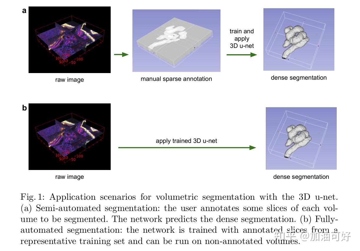 3D U-Net 论文笔记 - 知乎