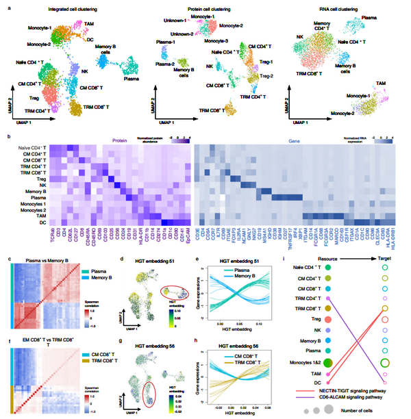 Nat. Commun. | 基于异构图Transformer的单细胞生物网络推理 - 知乎