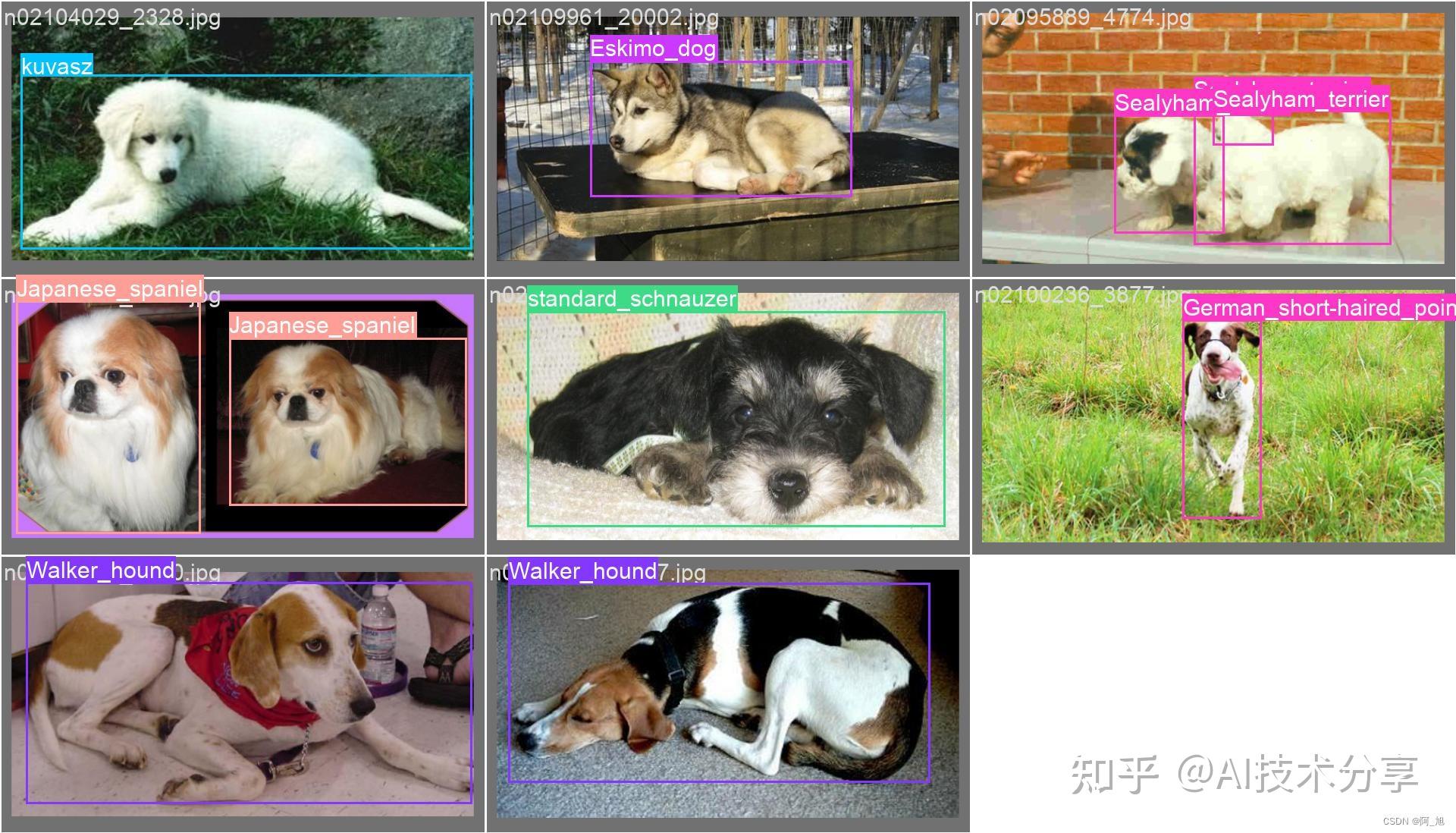 基于yolov8深度学习的120种犬类检测与识别系统【python源码pyqt5界面数据集训练代码】目标检测、深度学习实战、狗类检测、犬