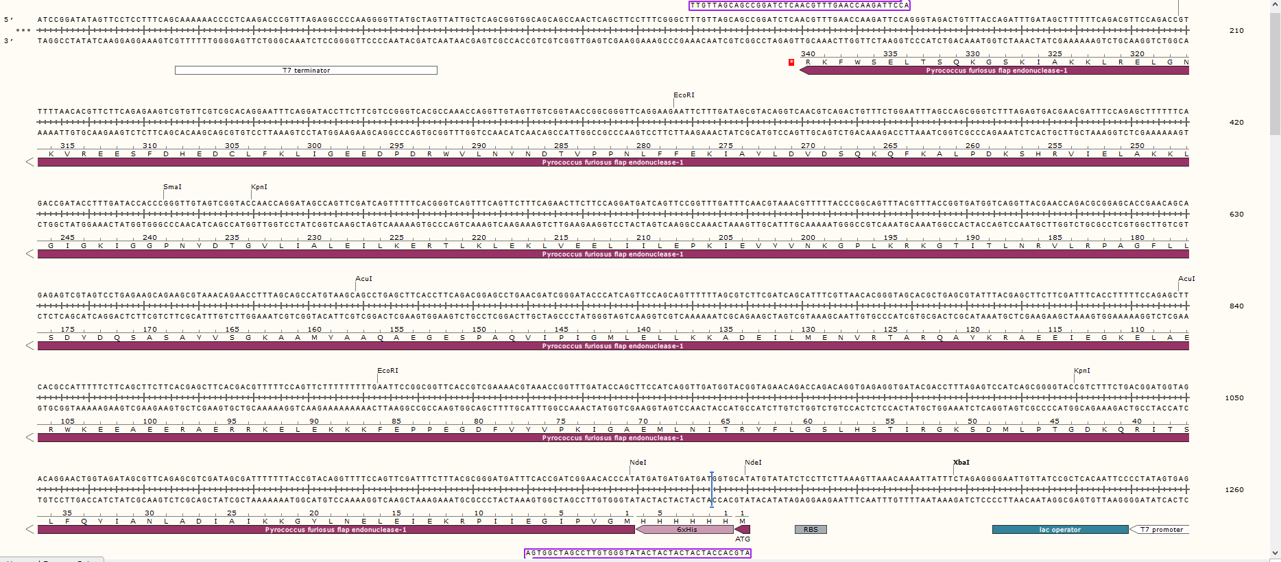 十年超长（>40kb）重组DNA技术经验，尽在此篇！ - 知乎