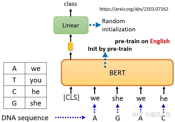 自监督学习：1、BERT模型 - 知乎