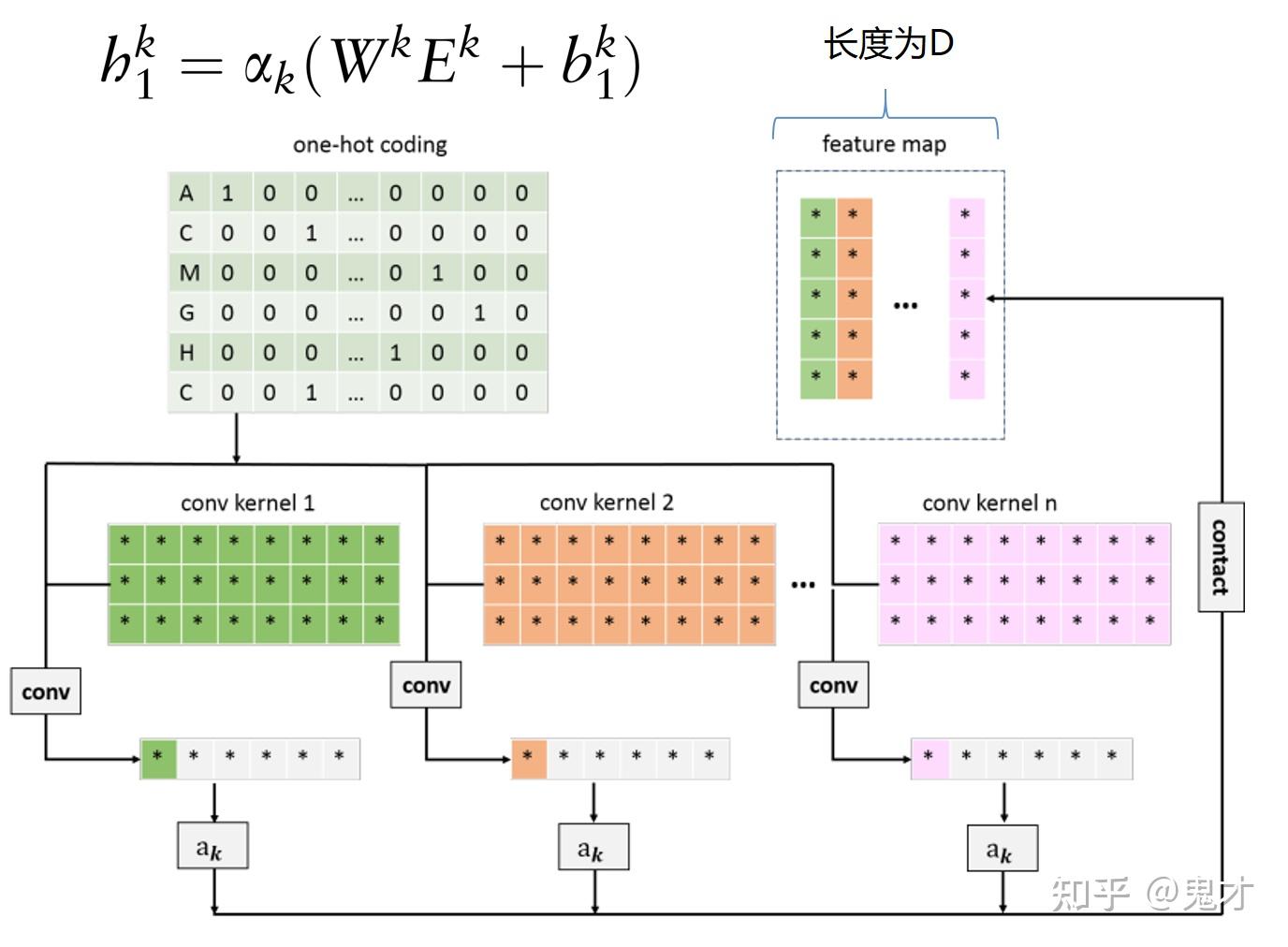 DeepPhos：基于CNN的蛋白质磷酸化位点预测模型 - 知乎