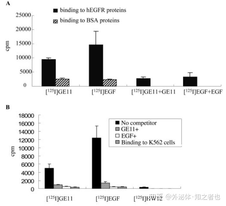 GE11让肿瘤庇护神EGFR无可遁形 - 知乎