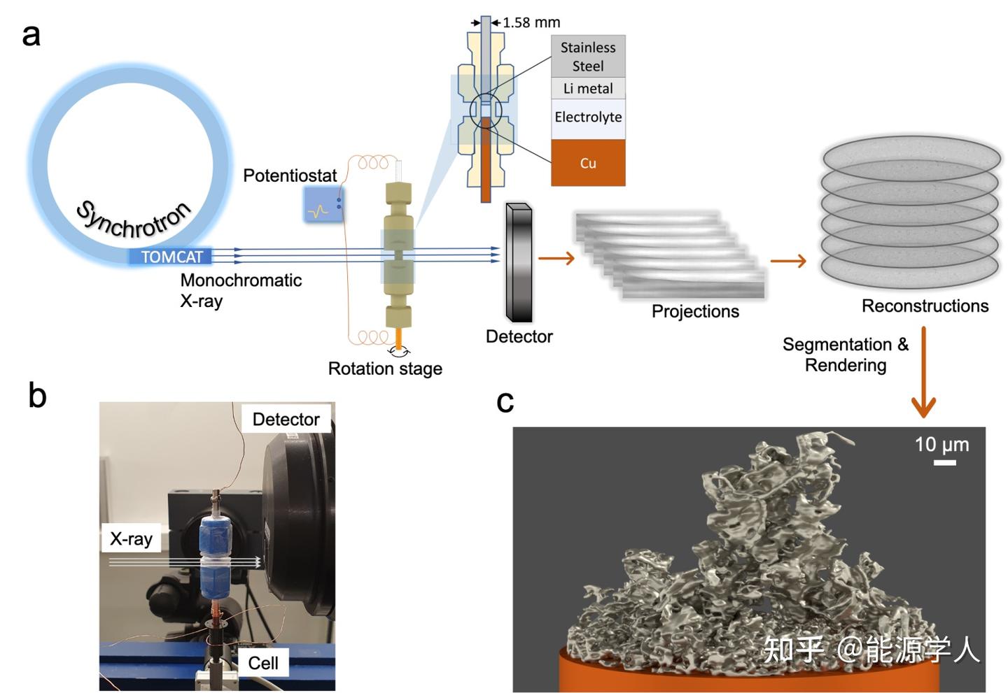 锂枝晶“3D电影”: 金属锂在沉积-脱出过程中的形貌演化 - 知乎