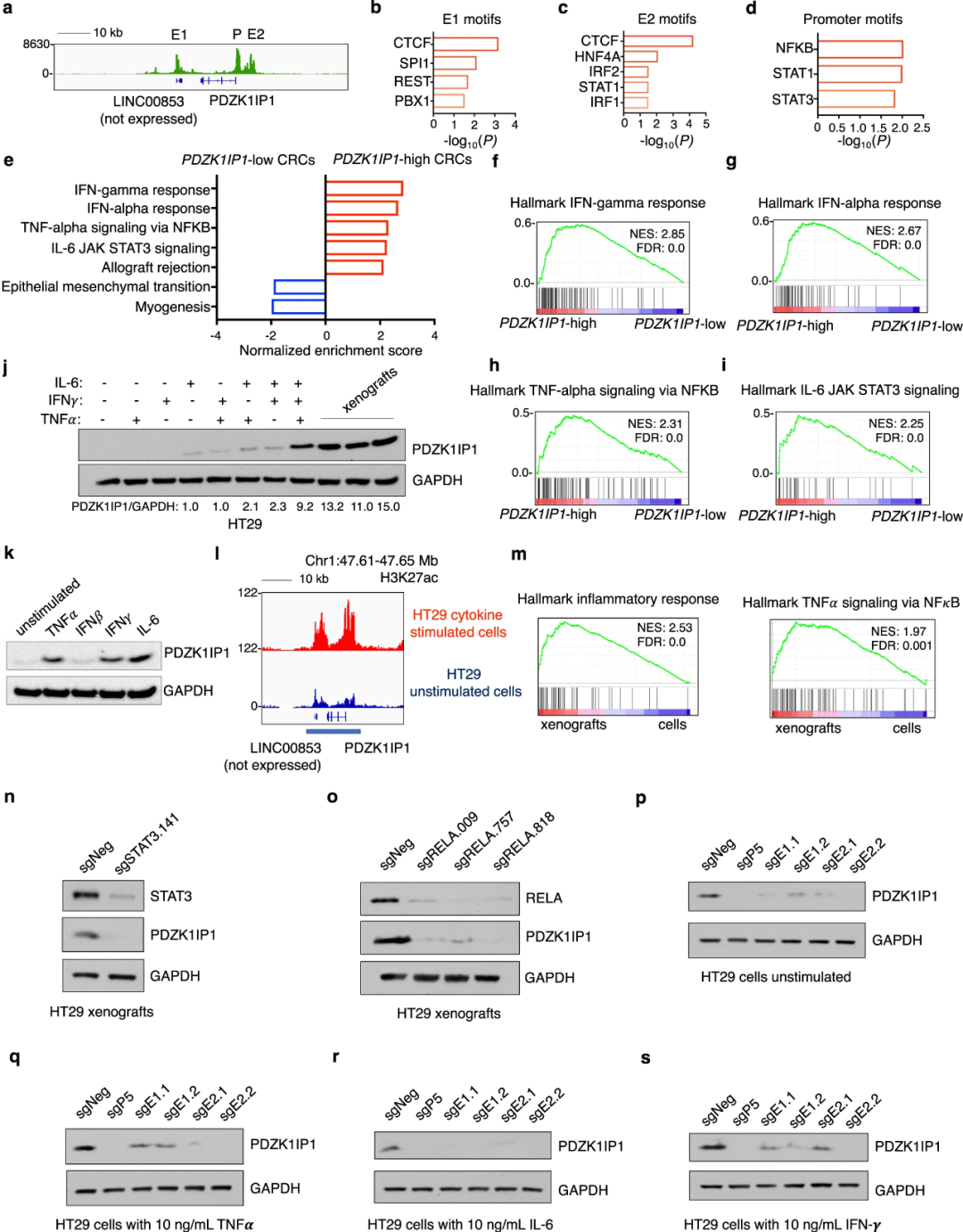 Nat Comm | 局部肿瘤微环境获得性超级增强子诱导结直肠癌 - 知乎